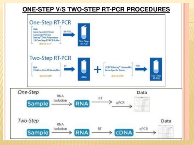RT PCR | PPTX