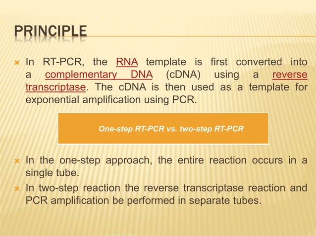 RT PCR | PPTX
