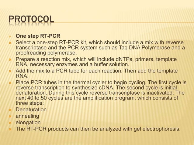 RT PCR | PPTX