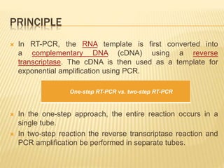 Real Time Pcr Principle