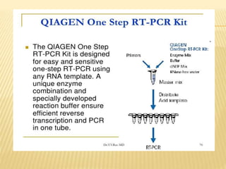 Rt Pcr Tube