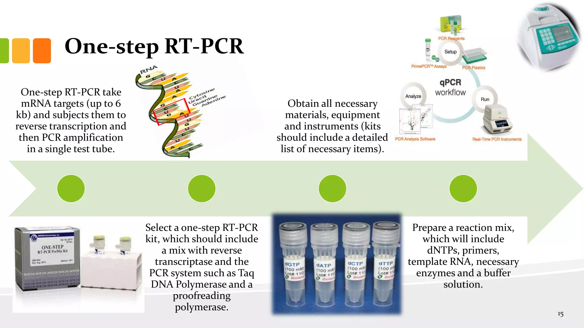 Rt pcr (Reverse transcription PCR) | PPSX
