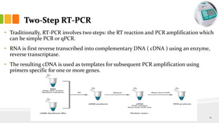 Rt pcr (Reverse transcription PCR) | PPSX