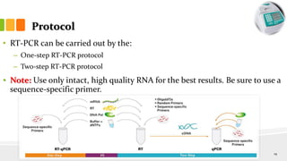 Rt pcr (Reverse transcription PCR) | PPSX