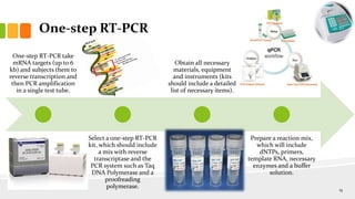 Rt pcr (Reverse transcription PCR) | PPSX