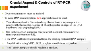 Rt pcr (Reverse transcription PCR) | PPSX