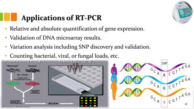 Rt pcr (Reverse transcription PCR) | PPSX | Chemistry | Science