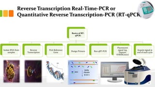 Rt pcr (Reverse transcription PCR) | PPSX