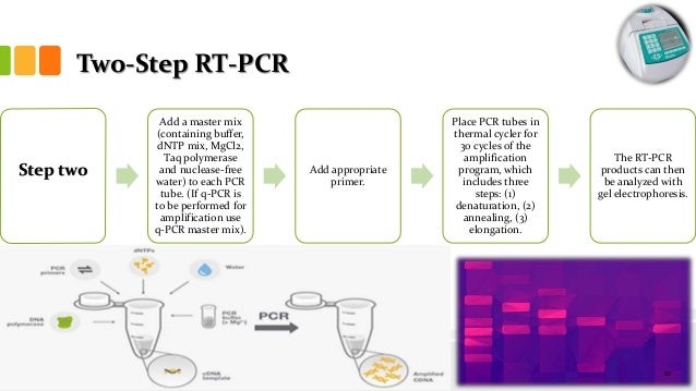 Rt pcr (Reverse transcription PCR)