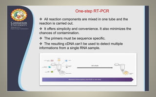 RT-PCR | PPTX | Chemistry | Science