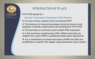RT-PCR | PPTX