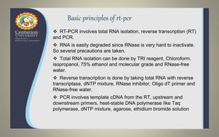 RT-PCR | PPTX