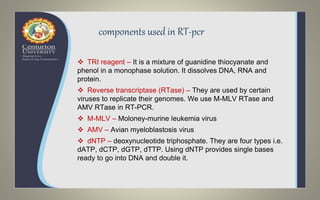 RT-PCR | PPTX