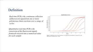 RT-PCR.pptx