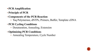 RT-PCR. MOLECULAR BIOLOGY.....PPT....... | PPTX