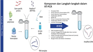 RT-PCR method of diagnostic of disease.pptx