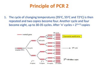 RT-PCR Principle-ABCF 2016-Roger.pdf