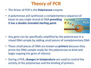 RT-PCR Principle-ABCF 2016-Roger.pdf