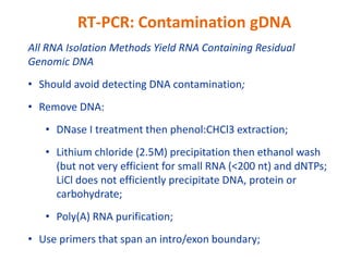 RT-PCR Principle-ABCF 2016-Roger.pdf
