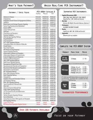Rt2 profilerbrochure | PDF