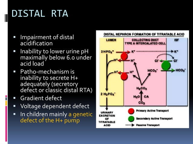 Renal Tubular Acidosis Pediatrics