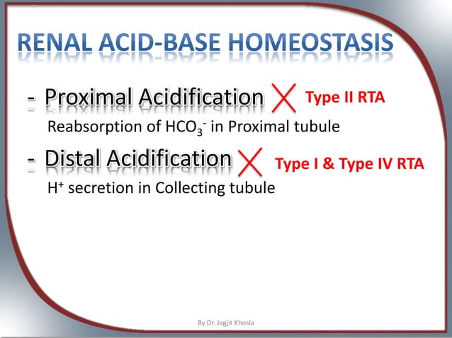 Renal Tubular Acidosis And Other Causes Of Normal Anion Gap Metabolic Acidosis Ppt