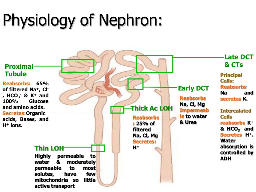 RENAL TUBULAR ACIDOSIS