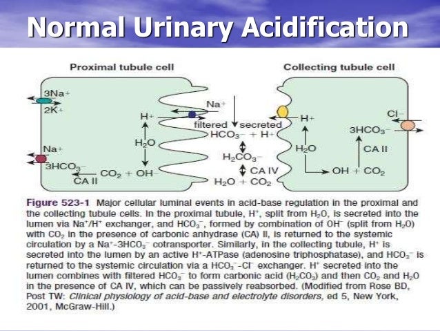 RENAL TUBULAR ACIDOSIS