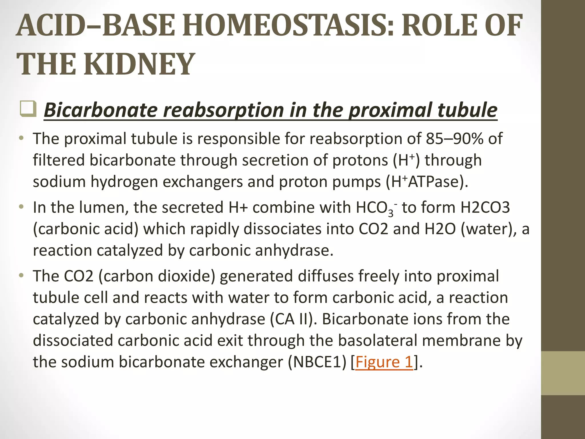 RENAL TUBULAR ACIDOSIS IN CHILDREN | PPTX