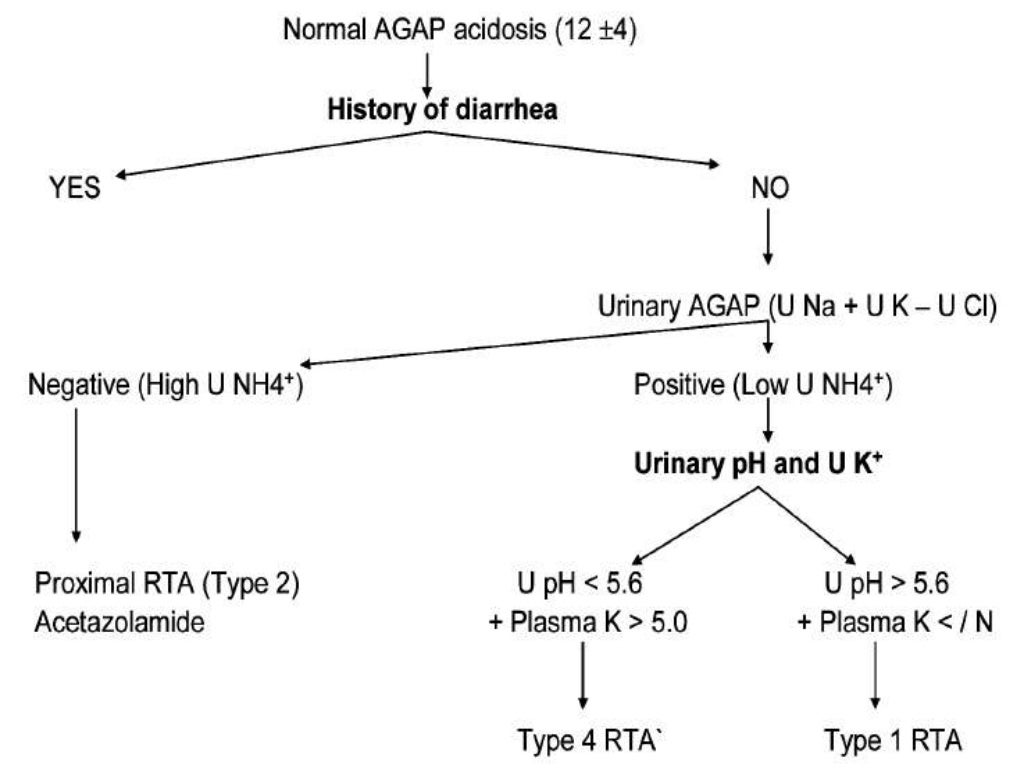 Renal Tubular Acidosis