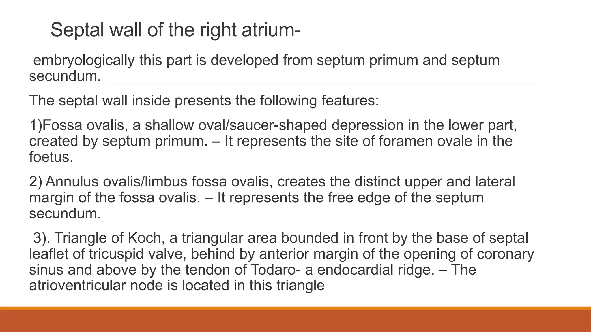 Right atrium of heart | PPTX