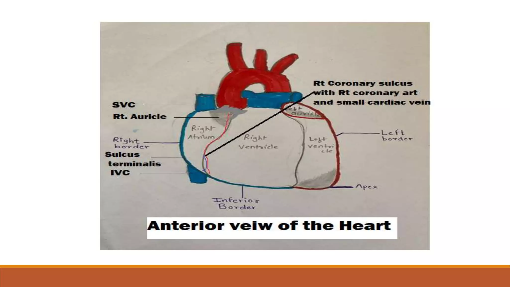 Right atrium of heart | PPTX
