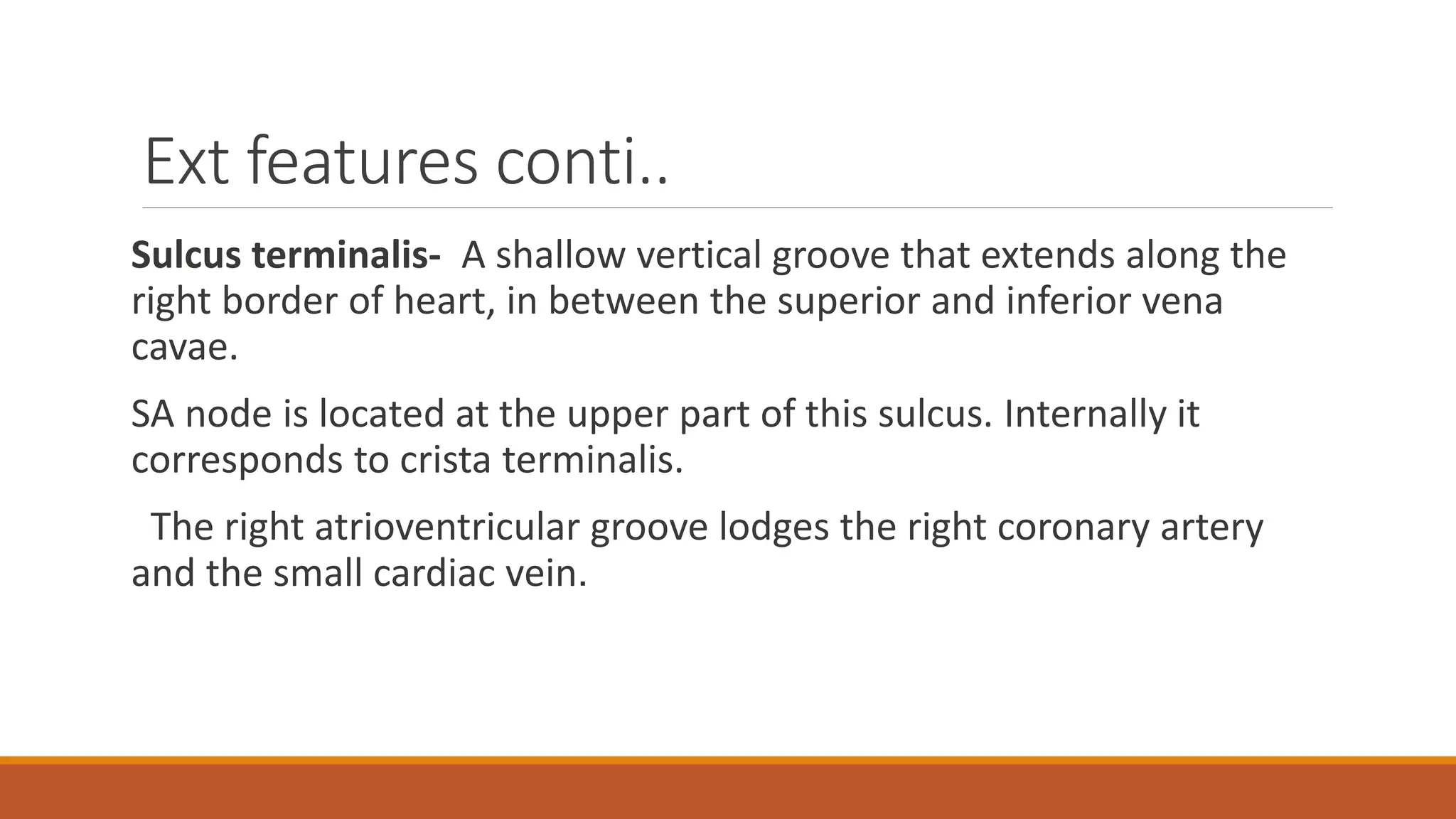 Right atrium of heart | PPTX