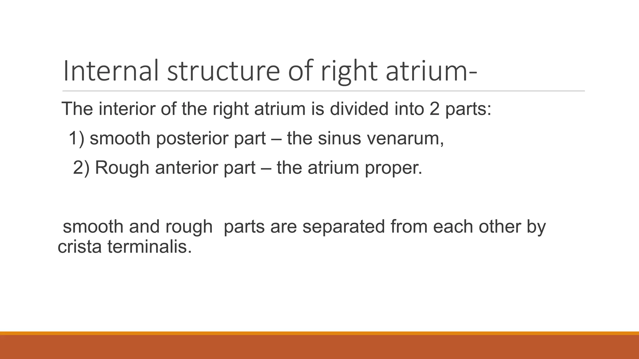 Right atrium of heart | PPTX