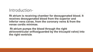 Right atrium of heart | PPTX