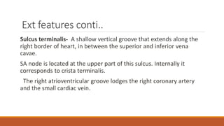 Right atrium of heart | PPTX