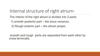 Right atrium of heart | PPTX