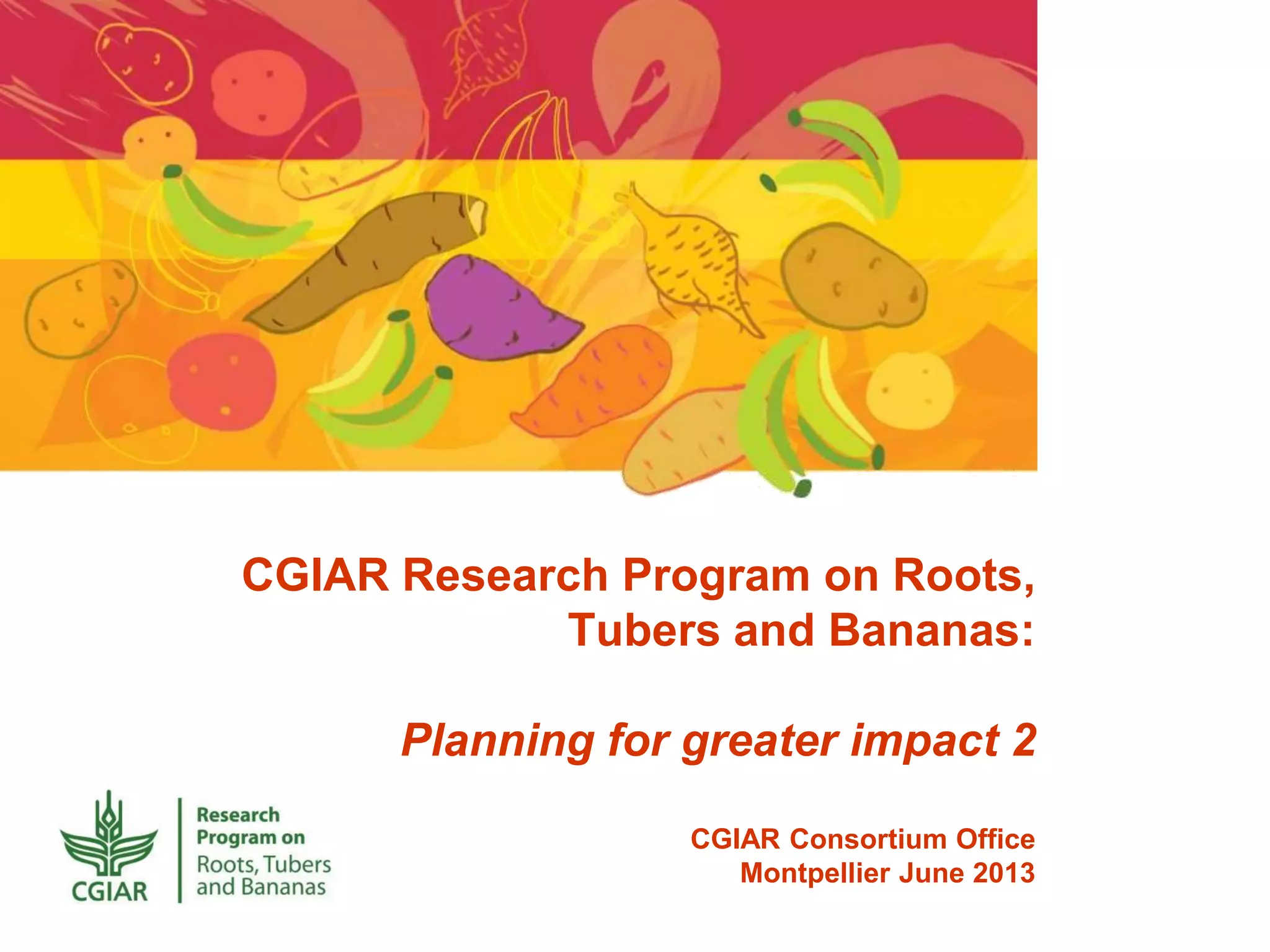 RTB - Presentation for Discussion with Donors and Partners - June 2013 | PPT