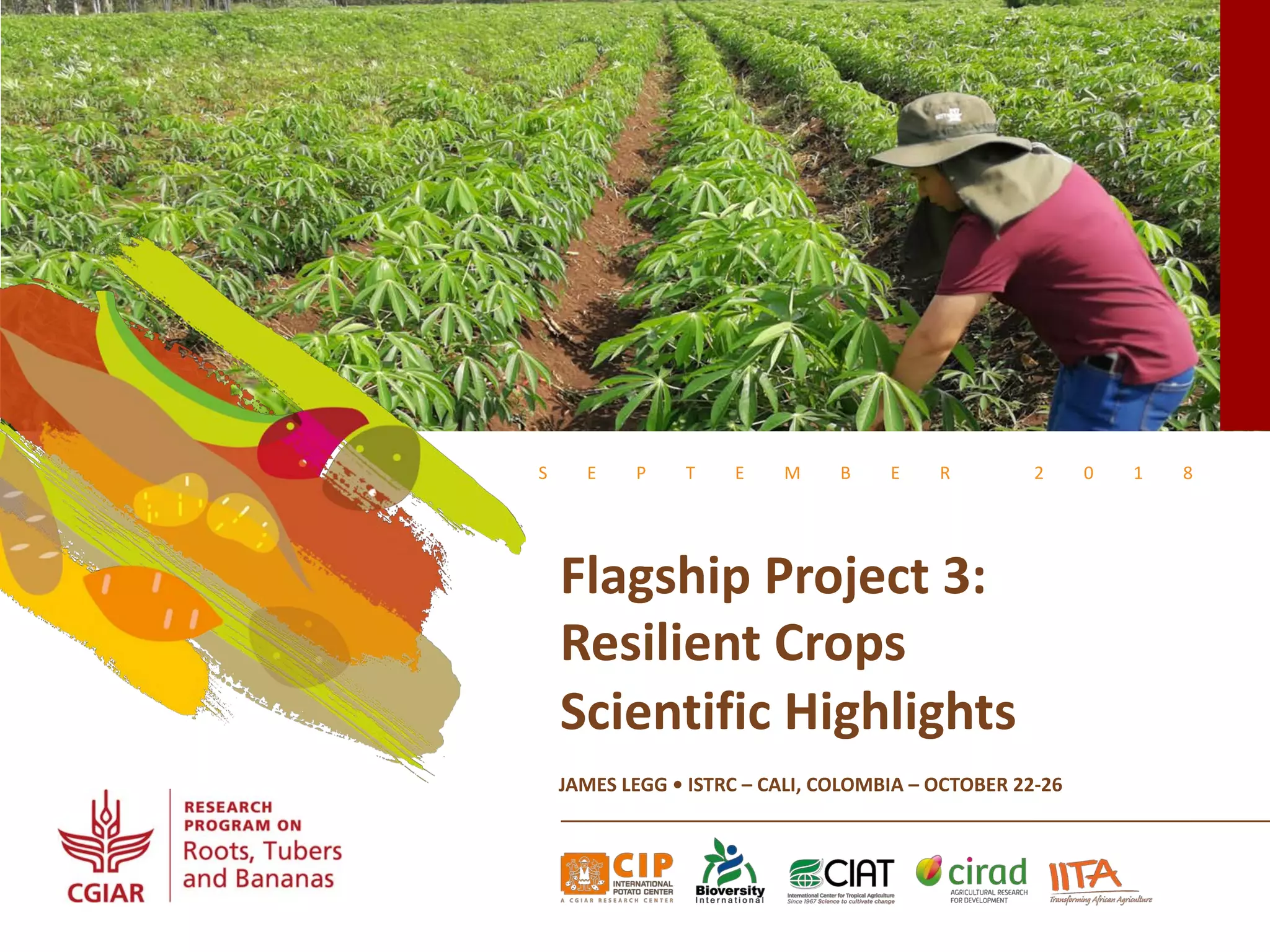 Resilient crops - Flagship Project 3 overview, ISTRC 2018 | PPT