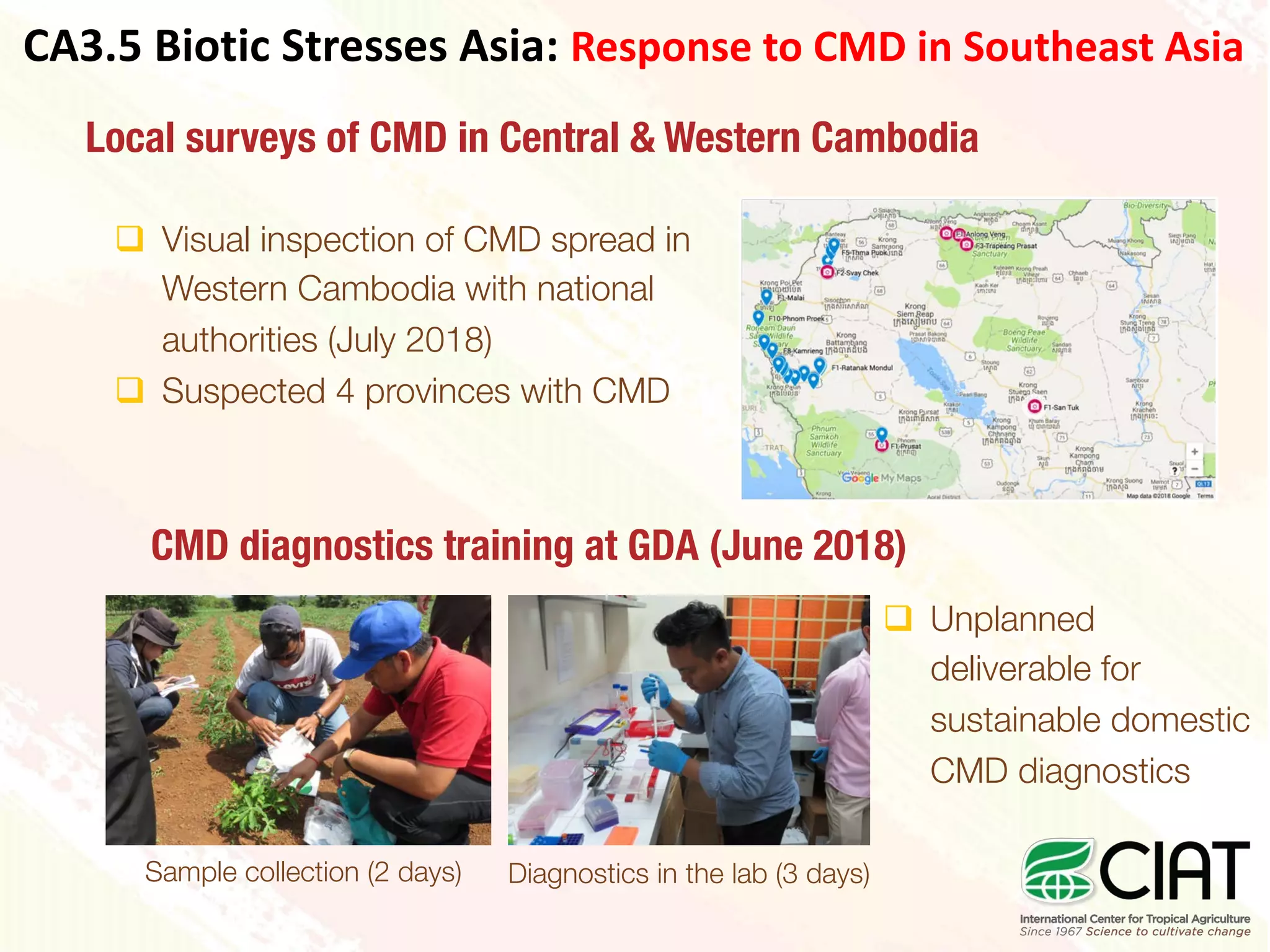 Resilient crops - Flagship Project 3 overview, ISTRC 2018 | PPT