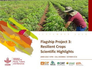 Resilient crops - Flagship Project 3 overview, ISTRC 2018 | PPT