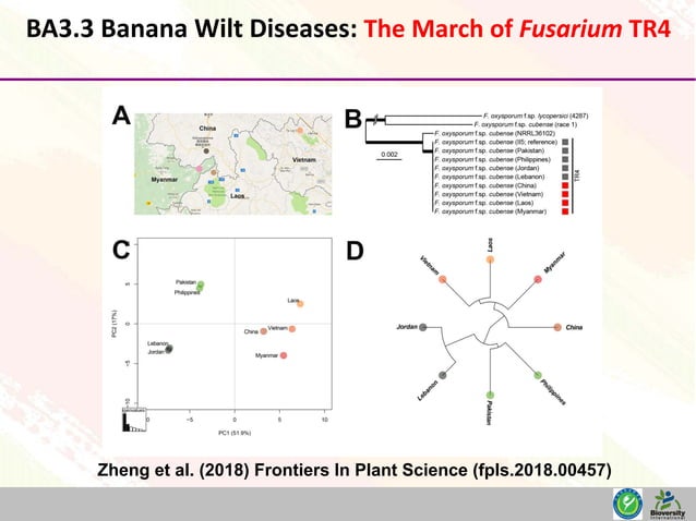 Resilient crops - Flagship Project 3 overview, ISTRC 2018 | PPT