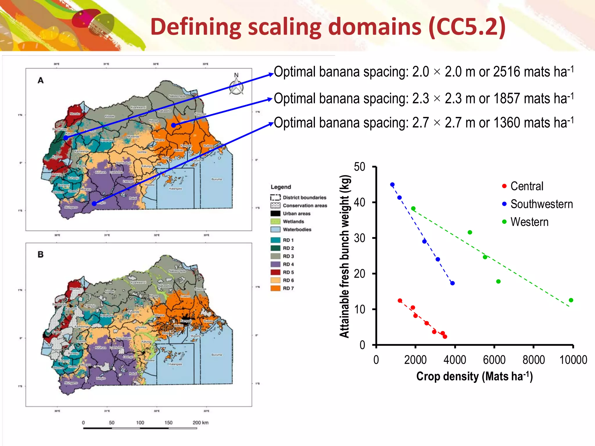 Improved livelihoods at scale - Flagship Project 5 overview, ISTRC 2018 ...