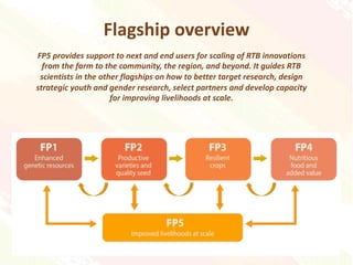 Improved livelihoods at scale - Flagship Project 5 overview, ISTRC 2018 ...