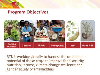 RTB Program Overview 2018 - ISTRC | PDF