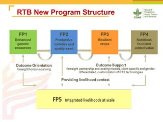 ROOTS TUBERS & BANANAS | PPTX
