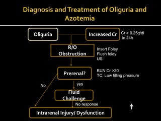 RTC ACUTE RENAL FAILURE.ppt