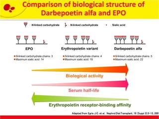 Round table discussion darbepoitein alpha .pptx