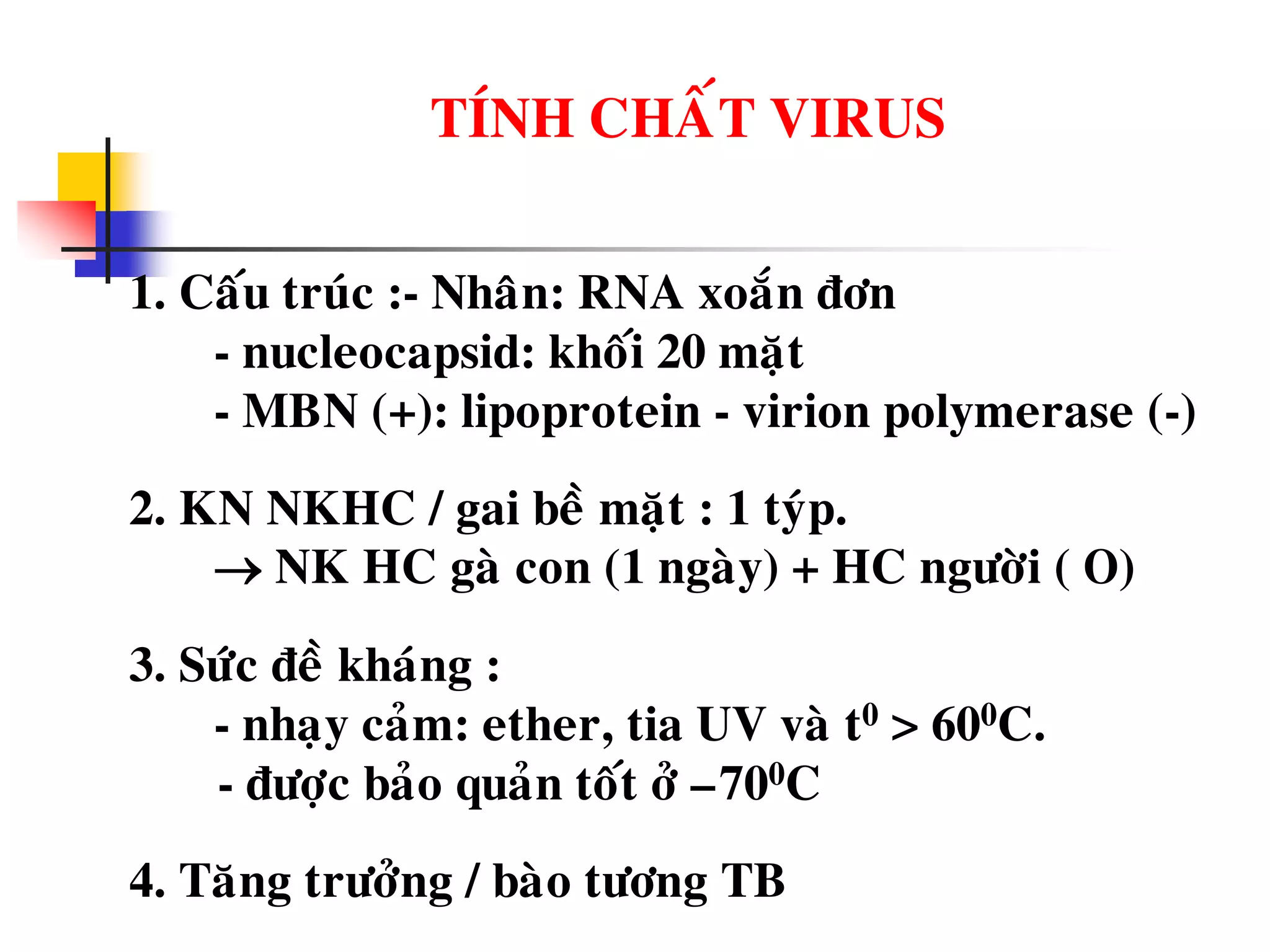 Rubella virus mientayvn.com