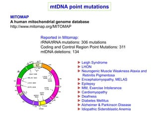 GENETIC HETEROGENEITY OF MITOCHONDRIAL DISORDERS - Agnès Rötig | PPTX ...